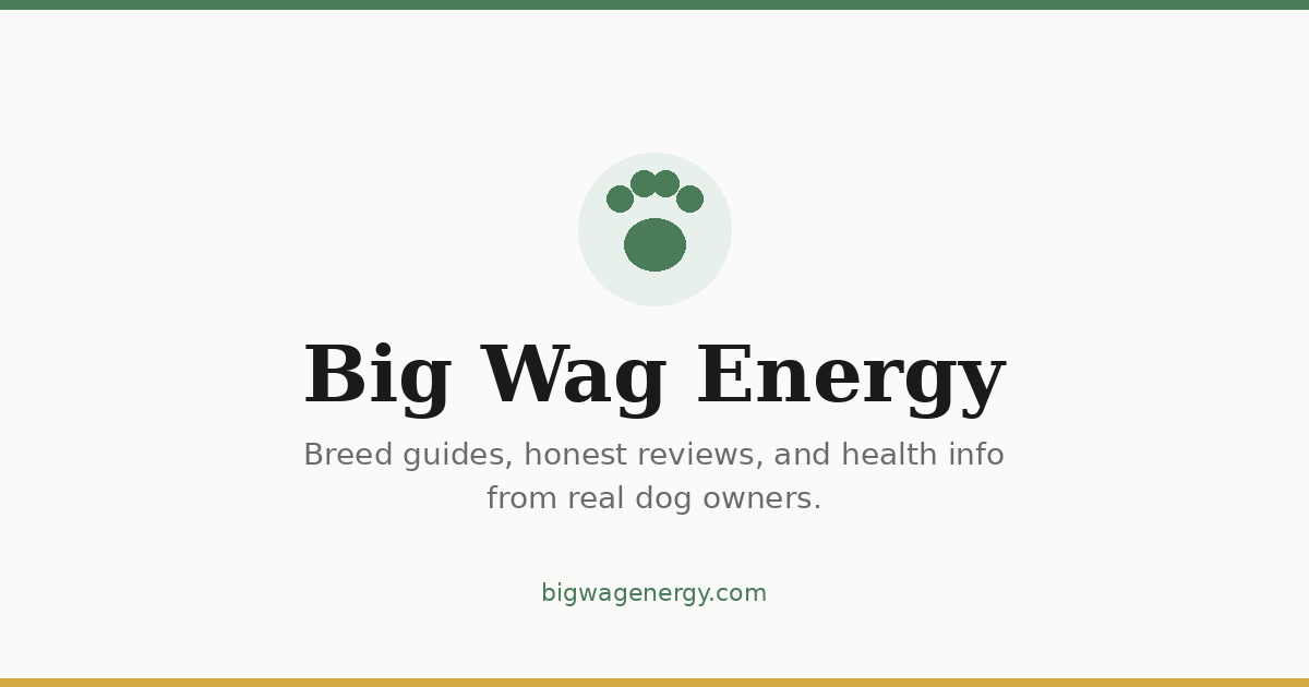 Best Subscription Dog Food Delivery (2026): Fresh, Cooked, and Actually ...